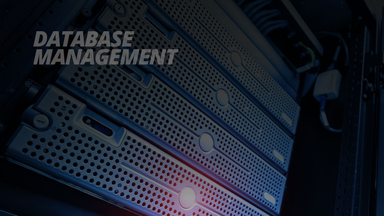 Database Management with Microsoft Access and SQL | HRD Spot